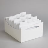 HCL® Bin with Dividers - 19943 - Health Care Logistics®