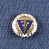 Veterinary Medicine Lapel Pin - VK120 - Health Care Logistics® - Health ...
